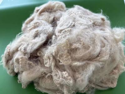 China 1.2D*32mm Recycled Beige Microfiber Polyester Staple Fiber for Filling for sale