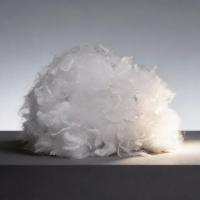 China Best Price 1.2D*32mm Polyester Staple Fiber From China for sale