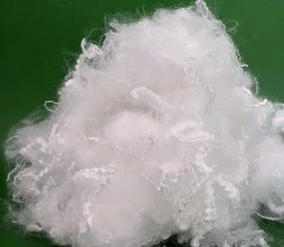 China 1.2D*32mm Virgin. White, Microfiber for Filing Quilts Pillows Mattress Duvet etc for sale