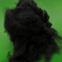 China Shrink-Resistant 1.2D*38mm Spinning Polyester Fiber for Bedding and Shoes for sale