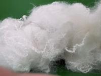 China Recycled Solid Raw White 7D*64mm Polyester Staple Fiber for Filling Cotton for sale