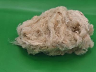 China Hollow/Solid Polyester Staple Fiber for Automobile Interior Fabrics for sale