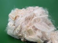 China Durable High Bulk 1.2D*32mm Polyester Staple Fiber for Spinning and Padding for sale