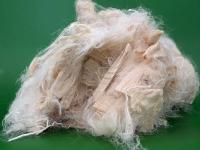 China Durable High Bulk 1.2D*32mm Polyester Staple Fiber for Spinning and Padding for sale