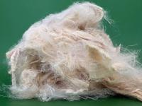 China Durable High Bulk 1.2D*32mm Polyester Staple Fiber for Spinning and Padding for sale