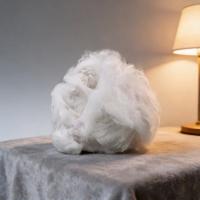 China Competitive Price 3D*64mm Recycled Polyester Staple Fiber for sale