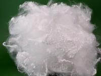 China Ximeng Brand Polyester Staple Fiber Microfiber - White Virgin 1.2D*25mm for sale