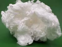 China Soft Touch 1.2D*38mm Lyocell Staple Fiber Underclothes Raw Material for sale
