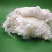 China Versatile Polyester Staple Fiber Lyocell PSF 1.2D*38mm for Fashion and Home for sale