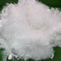 China 0.9d*32mm Microfiber Polyester Staple Fiber PSF  for Shoes and Bags,Filling Toys,Filling Sofa for sale