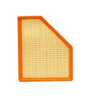 China Vehicle Spare Parts Car Air Filter Element 13718605164 Used For BMW X1 X3 for sale