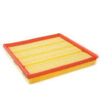 China Car Air Filter Element 13717571355 Vehicle Engine Parts For BMW X5 Z4 for sale