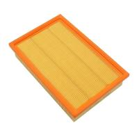 China Particles Filtrate Vehicle Engine Parts Air Filter LR005816 For Land Rover for sale