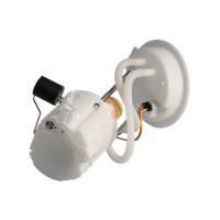 China Auto Engine Parts 16117273277 16147273276 Fuel Pump Assembly For BMW F20/F35/F30 for sale