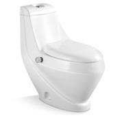 China Modern One Piece Siphonic Ceramic Toilet Floor Mounted 3.0-6.0L Dual Flush for sale