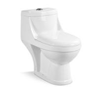China Modern One Piece Siphonic Ceramic Toilet Floor Mounted 3.0-6.0L Dual Flush for sale