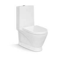 China Floor Mounted One Piece Ceramic Toilet 3.0-6.0L Dual Flush Siphon Jet S-Trap 305mm for sale