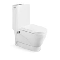 China Floor Mounted One Piece Ceramic Toilet 3.0-6.0L Dual Flush Siphon Jet S-Trap 305mm for sale