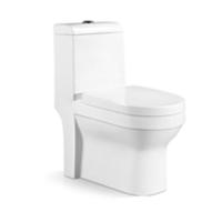 China Floor Mounted One Piece Ceramic Toilet 3.0-6.0L Dual Flush Siphon Jet S-Trap 305mm for sale