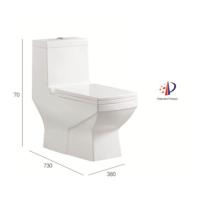China Premium One Piece Siphonic Toilet with Bidet Elongated S-Trap 305mm 3.0-6.0L for sale