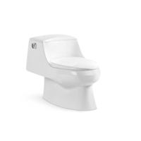 China Premium One Piece Siphonic Toilet with Bidet Elongated S-Trap 305mm 3.0-6.0L for sale