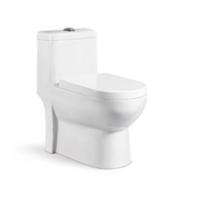 China Super Vortex Siphon One-Piece Toilet Anti-Odor Ceramic 305mm S-Trap Floor Mounted for sale