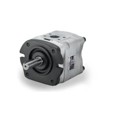 China Hydraulic Pumps Gear Oil Pump IGC-4F-32-R-20 IGC-4E-20-R-20 IGC-4F-20-L-20  IGC-4F-32-L-20  IGC-4F-25-L-20 IGC-5F-40-R-20 for sale