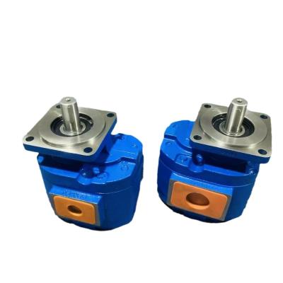 China Gear PumpCBGJ2040 CBGJ2050 CBGJ2063 CBGJ2080 CBGJ2100 CBGJ3100 CBGJ3125 CBGJ3140 CBGJ160 CBGJ3160 CBGJ2080/1010 CBGJ2080/1016 for sale