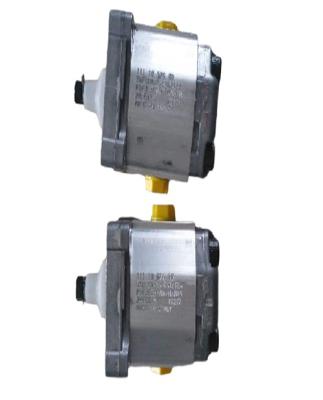China America  Oil PumpSNP2EN/011RN06SAE6E6E5NNNN/VLXNN SNP2NN/011RN9JDBP3E6E5NNNN/NNNNN SNP2NN/011RN03DBP3E6E5NNNN/NNNNN for sale