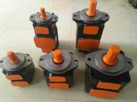 China hydraulic oil pumpPVL12-12-33-F-1R-UU-10
PVL12-12-41-F-1R-UU-10
PVL12-12-47-F-1R-UU-10
PVL12-12-53-F-1R-UU-10
PVL12-12-59-F-1R-UU-10
PVL12-12-65-F-1R-UU-10
PVL12-12-75-F-1R-UU-10
PVL12-14-26-F-1R-UU-1 for sale