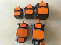 China hydraulic oil pumpPVL12-17-33-F-1R-UU-10
PVL12-17-41-F-1R-UU-10
PVL12-17-47-F-1R-UU-10
PVL12-19-33-F-1R-UU-10 PVL12-19-41-F-1R-UU-10
PVL12-19-47-F-1R-UU-10
PVL12-19-53-F-1R-UU-10
PVL12-19-59-F-1R-UU-1 for sale