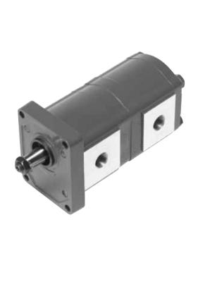 China Gear oil pumpPGI100-2-013-LD04-11-XXXX
PGI100-2-016-LD04-11-XXXX
PGI100-2-019-LD04-11-XXXX
PGI100-2-022-LD04-11-XXXX
PGI100-2-025-LD04-11-XXXX
PGI100-2-005-LK04-11-XXXX
PGI100-2-006-LK04-11-XXXX for sale