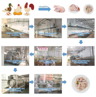 China Good Effect Chicken Killing Machine For Chicken Duck Goose And Bird for sale