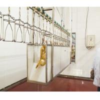 China stainless steel Poultry Slaughterhouse Equipment automatic For Meat Processing for sale