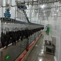 China High Productivity Poultry Slaughtering Machine Automatic Chicken Abattoir Equipment for sale