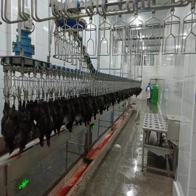 China High Productivity Poultry Slaughtering Machine Automatic Chicken Abattoir Equipment for sale