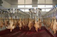 China Customizable and Durable Poultry Processing Line with Stainless Steel 304 for sale