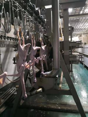 China Streamline Your Chicken Processing with PLC Controlled Slaughtering Line and Stainless Steel 304 Materials for sale