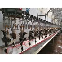 China High Capacity Poultry Slaughtering Line Halal Chicken Slaughterhouse Machine 1000BPH for sale