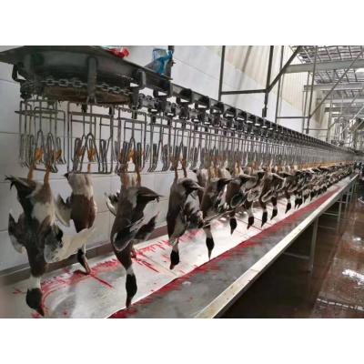 China High Capacity Poultry Slaughtering Line Halal Chicken Slaughterhouse Machine 1000BPH for sale