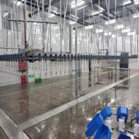 China Efficiency Poultry Slaughtering Equipment with 500 BPH Plucking Machine for sale