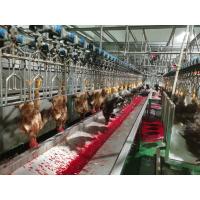 China 220V Poultry Plucking For Cold Water Cooling Processing Professionalism And Versatility for sale