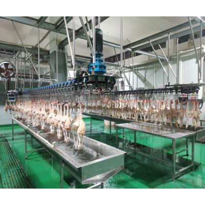 China 1000-2000BPH Automatic Poultry Slaughterhouse Chicken Slaughtering Machine for sale