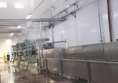 China Electrical Stunning Chicken Slaughtering Machine For Farms Suit For Chicken Duck Goose Bird for sale