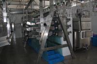 China Chicken Slaughter and Plucking Line Small Chicken Slaughtering Machine Line Chicken Slaughter Machine for sale