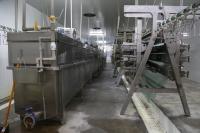 China Chicken Slaughter and Plucking Line Small Chicken Slaughtering Machine Line Chicken Slaughter Machine for sale