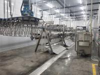 China Chicken Slaughter and Plucking Line Small Chicken Slaughtering Machine Line Chicken Slaughter Machine for sale