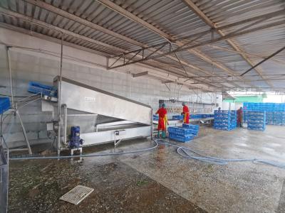 China Automatic Stainless Steel Cleaning Chicken Cage Washer Poultry Crate Chicken Cage Washing Machine Motor Bearing Engine for sale