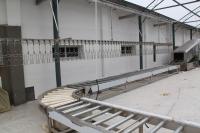 China Halal Certified High Efficiency Turnkey Poultry Processing Line for 1000 Birds Per Hour for sale