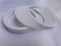 China PTFE Hydraulic Cylinder Retaining Ring With Rubber Bellow Seal for sale